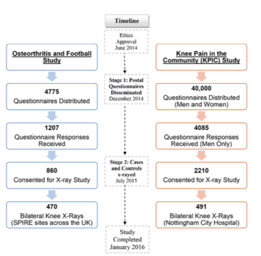 The Prevalence and associated risk factors of knee osteoarthritis in ex ...